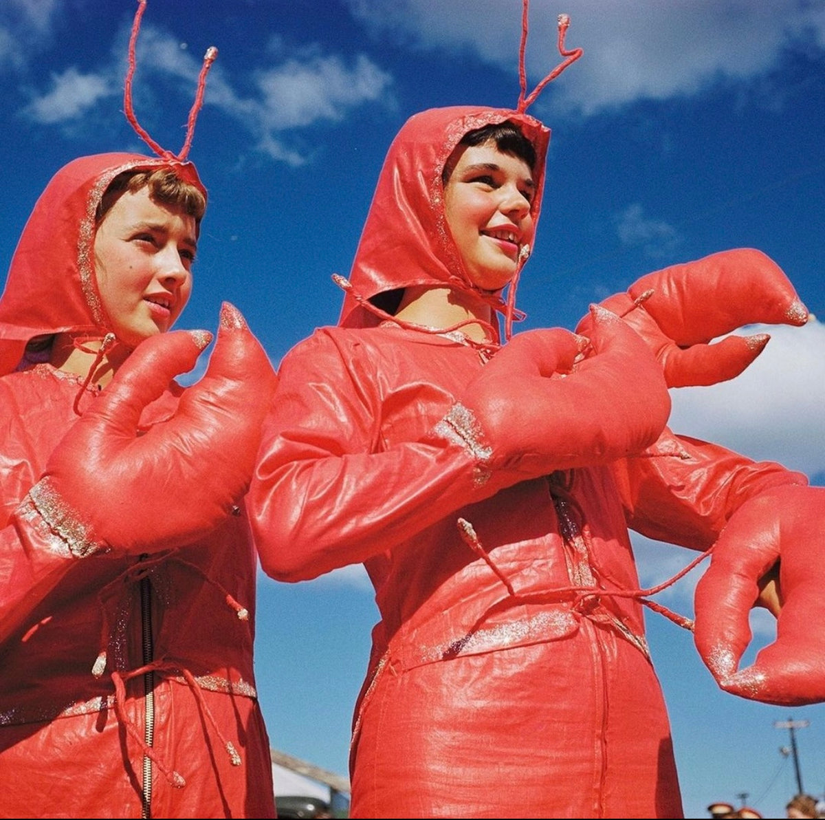 how to cook lobster - maine style